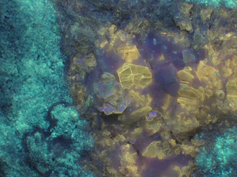 Phlogopite : CSIRO Spectroscopy Database